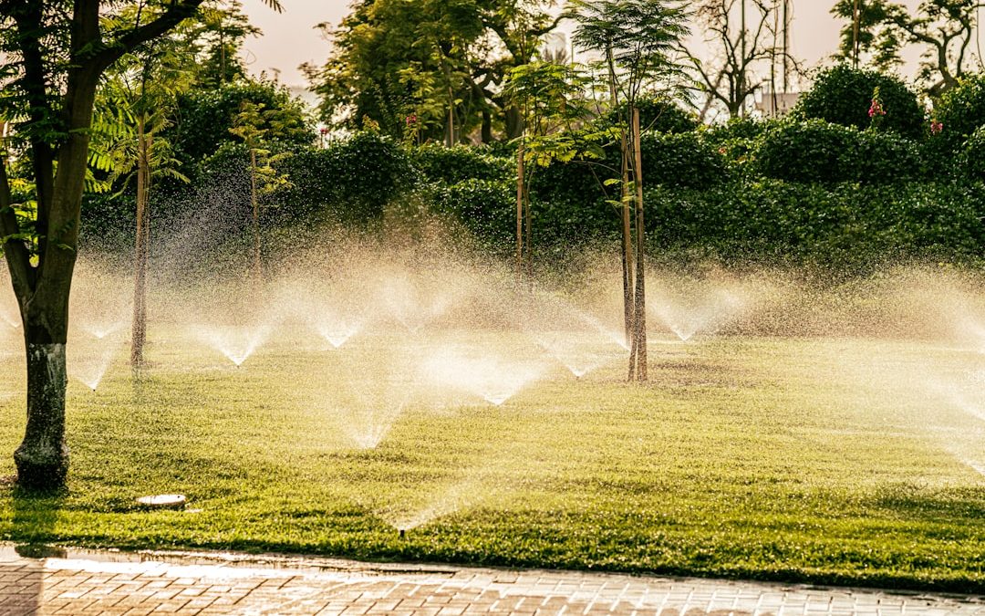 Irrigation System Maintenance - Best In Irrigation, LLC